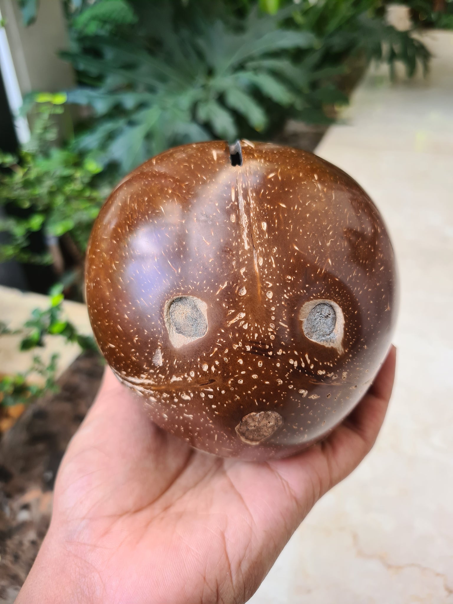 Thenga Coconut Shell Kudukka or Piggy Bank ( Openable at the Bottom )